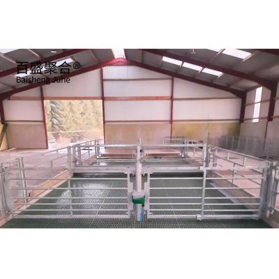 China Hot Galvanizing Steel Structure Livestock Shed with Custom Colors and ASTM Standard for sale