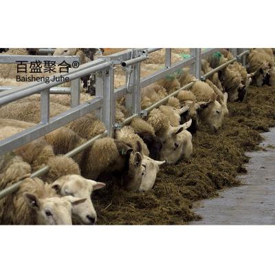 China Q235 Low Carbon Steel 's Steel Farming Solution for Effective and Secure Animal Housing for sale