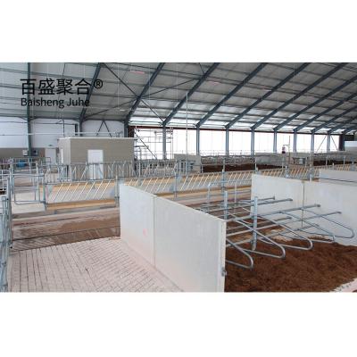 China Heavy Prefabricated Steel Structure Cow Shed for MTS Drawing Design Dairy Cattle Farm for sale