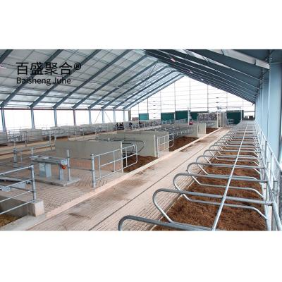 China Custom Colors Metal Frame Steel Structure Cow Cattle Farm House Prefab Cow Shed Standard ASTM for sale