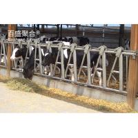 China ISO9001 2008/CE/BV Certified Steel Structure Cow Shed Farm Building for Goat Farming for sale