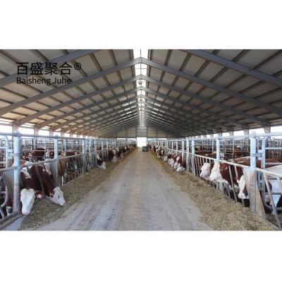 China Direct Supply Steel Structure Livestock Shed for Cow in Prefabricated Design for sale