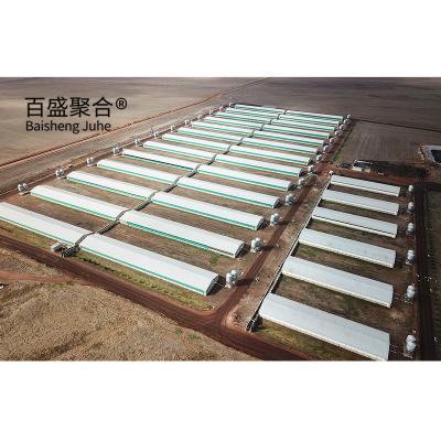 China Automatic Poultry Farm Prefab Layer Pig Houses with Design and Aluminum Alloy Window for sale
