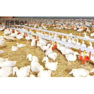 China Poultry Farm Broiler Cage System with MTS Drawing Design and Steel Grade for sale