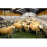 China Aluminum Alloy Window Prefab Animal Shed Steel Structure for Sheep and Goat Farming for sale