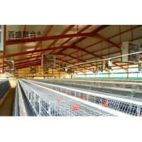 China Galvanized A Type Chicken Cages Layer Poultry with ISO9001 2008/CE/BV Certification for sale