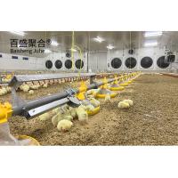 China Professional Chicken Breeding Cage ASTM Standard with Hot Dip Galvanised Coating for sale