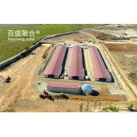 China High Tolerance A Type Layer Chicken Cage for 1000-10000 Laying Hens on Steel Farming for sale