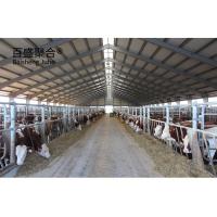 China ASTM Standard Prefabricated Cow Shed Building for Cattle ISO9001 2008/CE/BV Certified for sale