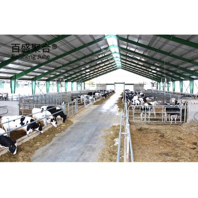 China Modern Design Steel Structure Cow Cattle Dairy Milking Farm Shed Building with Steel Beams H Beams for sale