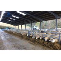 China s Prefabricated Pig Farm House with Steel Structure and Single Steel Sheet Roofing Wall for sale
