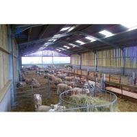 China Custom Colors Steel Structure Poultry Framing For Your Farm With Water And Food Lines for sale