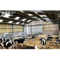 China Prefab Cow Farm Shed Farm Building Design Metal Steel Structure with and ASTM Standard for sale