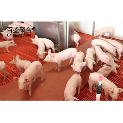 China Aluminum Alloy Window Prefabricated Warehouse Farm for Steel Beams Pig House for sale