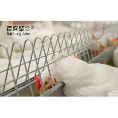 China Light Steel Frame Broiler Poultry Shed with Sandwich Panel Roofing and Custom Colors for sale