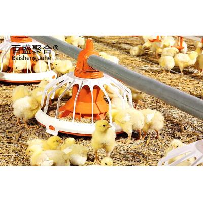 China Steel Farming Prefabricated Poultry Farm Construction with Chicken Cages and Metal Sheds for sale
