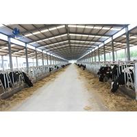 China Solid H-shape Steel Beam Main Frame for Prefab Steel Pig House and Livestock Sheds for sale