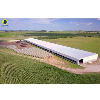 China Heavy Steel Structure Poultry Farm Chicken House with Window and Aluminum Alloy Window for sale