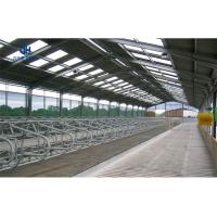 China Work Plant Steel Structure Cow Farm Building with Tolerance of ±1% and Economic Design for sale