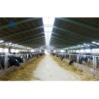 China Improved Productivity Prefab Steel Structure Dairy Cow Shed Farm for sale