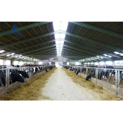 China Improved Productivity Prefab Steel Structure Dairy Cow Shed Farm for sale