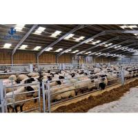 China Detachable Steel Structure Shed for Modern Goat and Sheep Farming House Length 60-200m for sale