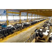 China 2-10 Meters Height Cow Farm Building House Cowshed Design with 60mm Pipe Diameter for sale