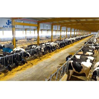 China 2-10 Meters Height Cow Farm Building House Cowshed Design with 60mm Pipe Diameter for sale