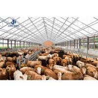 China Customized Size Steel Structure Design Livestock Farm Shed for Goat/Cattle Farms Building for sale