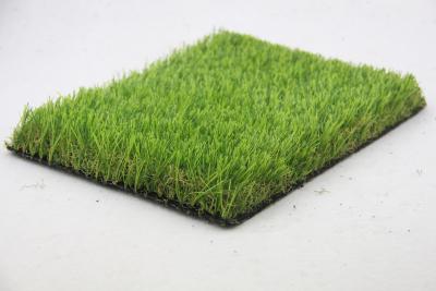 China 55MM Artificial Grass Wall Outdoor Decorative Environment Friendly for sale