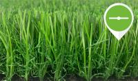 China Artificial Turf Grass For Outdoor Decorative Garden Grass 30mm for sale