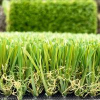 China Artificial Grass Roll Harmless Synthetic Grass 30mm For Garden for sale