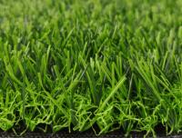 China Synthetic Grass Carpet Indoor Garden Carpet Grass 20mm Artificial Turf Grass for sale
