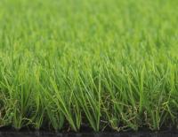 China Oasis 78 Code 45mm Artificial Grass Mat For Garden Decoration for sale