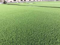 China Artificial Grass Baseball Turf Football Grass For Soccer Ground 60mm for sale