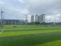 China 55mm Diamond Shape Football Artificial Turf Fake Soccer Grass for sale