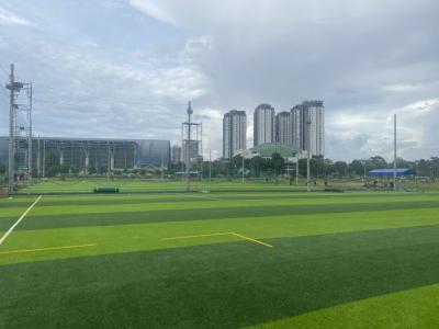 China 55mm Diamond Shape Football Artificial Turf Fake Soccer Grass for sale