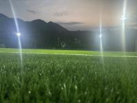 China 55mm Height Artificial Grass Turf Football Synthetic Grass Wear Resistant for sale