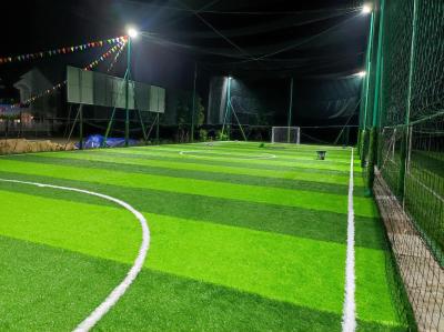 China SGS Diamond 66 Sports Football Artificial Turf 50m Height for sale