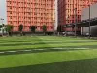 China 55mm Synthetic Artifical Soccer Grass Detex 11000 Good Stiffness for sale