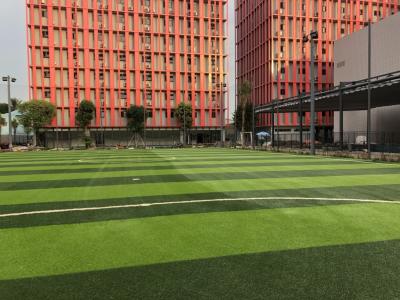 China 55mm Synthetic Artifical Soccer Grass Detex 11000 Good Stiffness for sale