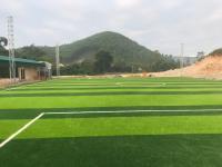 China Football Grass Football Grass 55mm Sports Turf Artificial Grass for sale