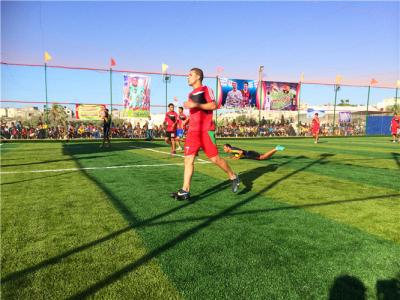 China Decorative Playground Synthetic Grass Indoor / Outdoor High Elasticity for sale