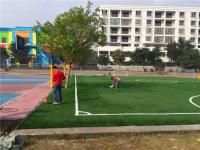 China Outdoor Synthetic Grass For Playgrounds , Artificial Playground Grass PE Materal for sale