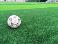 China Garden Playground Artificial Putting Turf , Apple Green Artificial Turf For Playgrounds for sale
