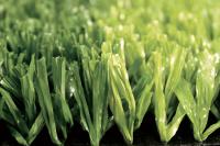 China AVG High Grade Green Football Artificial Turf , Football Synthetic Grass Carpet for sale