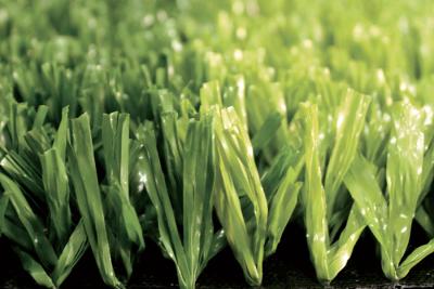 China AVG High Grade Green Football Artificial Turf , Football Synthetic Grass Carpet for sale