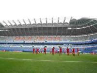 China Real Looking Soccer Field Artificial Grass Mats , Football Synthetic Turf for sale