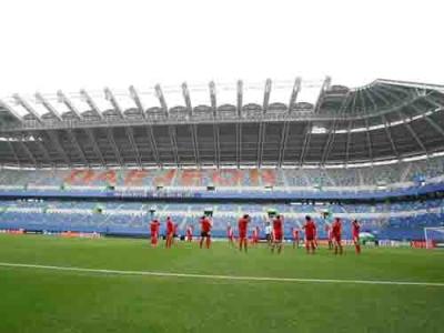 China Real Looking Soccer Field Artificial Grass Mats , Football Synthetic Turf for sale