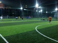 China Indoor Soccer / Football Artificial Grass 13000 Dtex Environment Friendly for sale